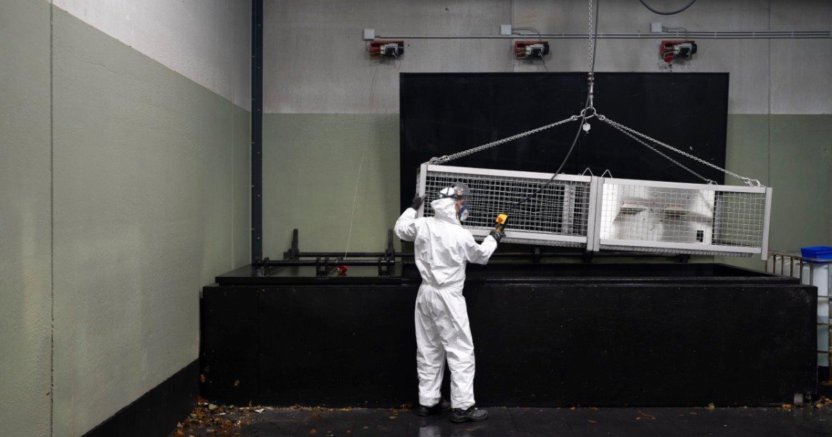 Beitsen en passiveren › Alinco: Aluminium, Inox en Metaalconstructie