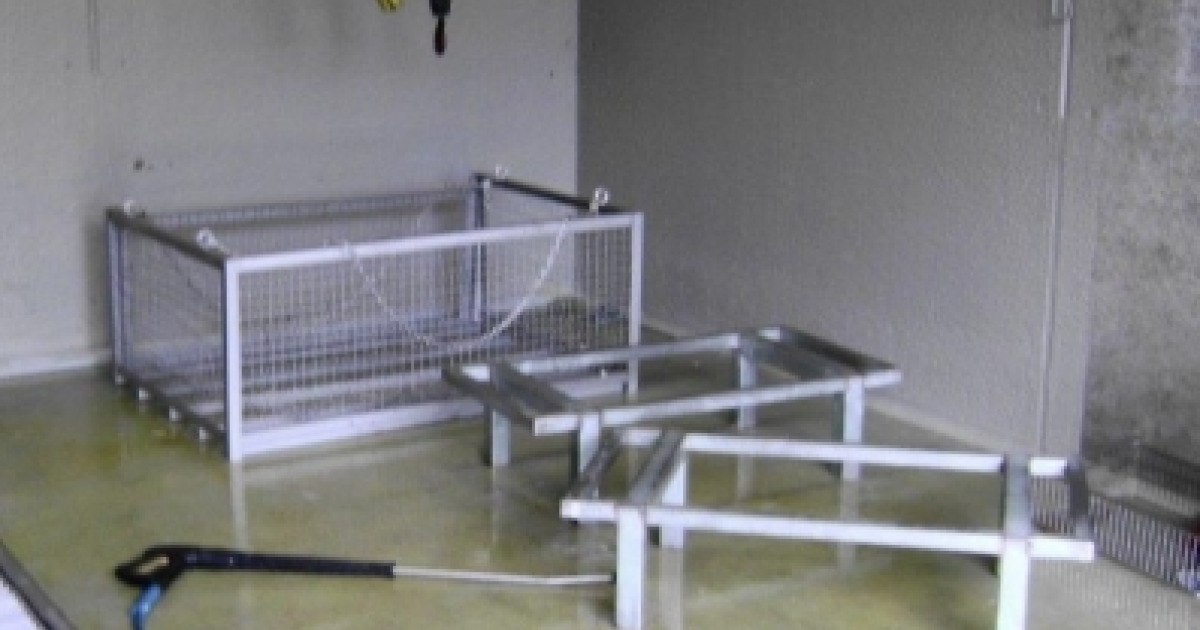 Corrosion and surface treatment of welded joints › News › Alinco ...